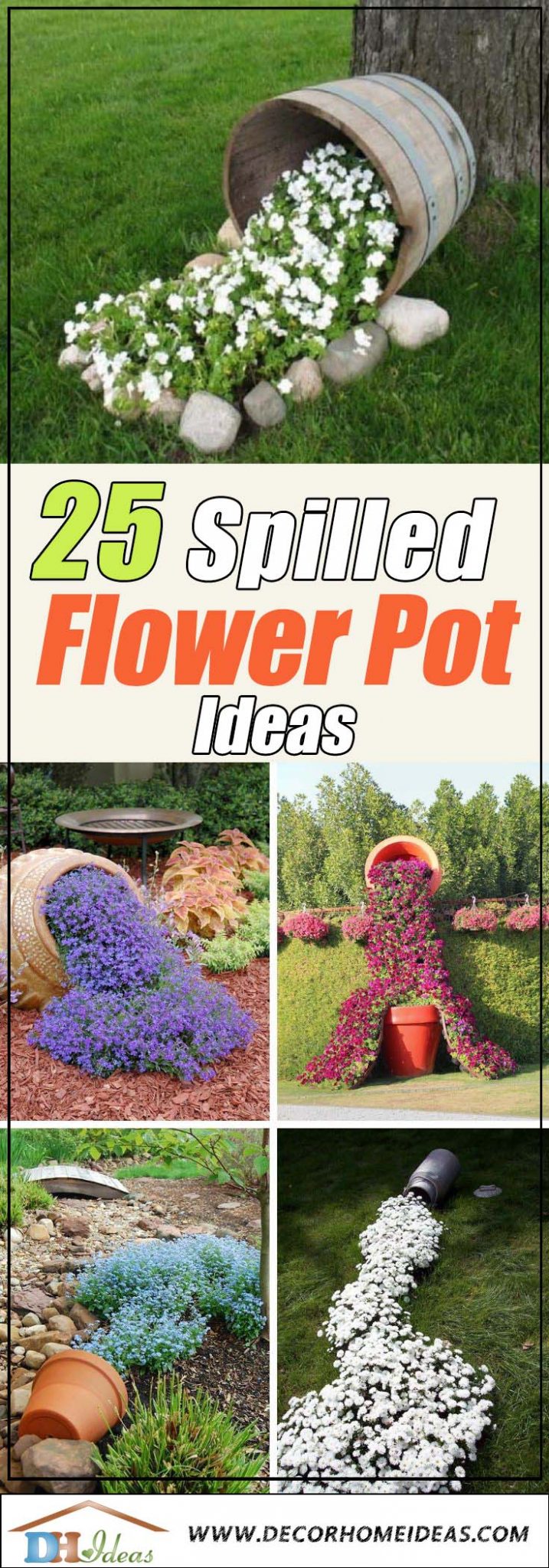 25 Spilled Flower Pot Ideas for 2026 (Best Photos) | Decor Home Ideas