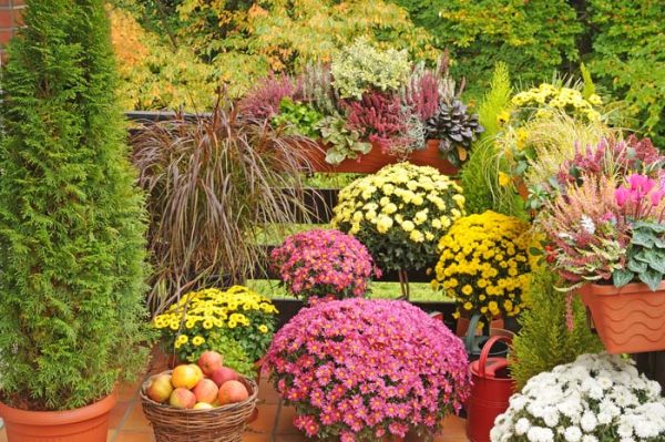 32 Beautiful Fall Gardening Ideas and Decorations