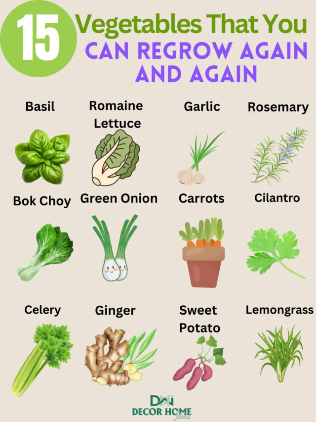 15 Vegetables That You Can Regrow Again and Again