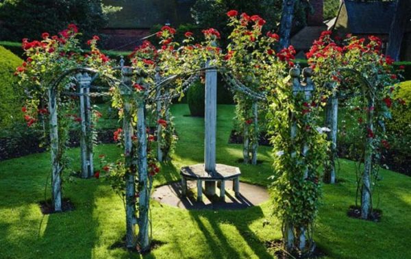 40 Amazing Rose Garden Ideas For Your Backyard