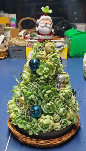 32 Best Succulent Christmas Trees For An Unique Festive Decoration