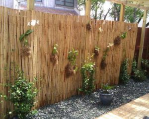 37 Best Bamboo Fence Ideas To Create A Perfect Retreat