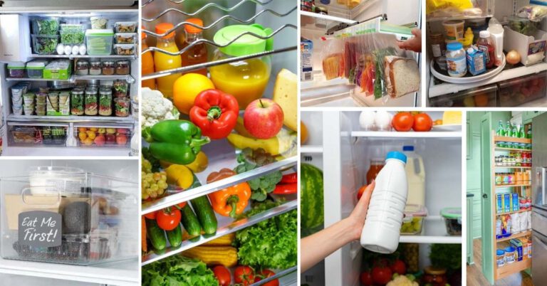 42 Refrigerator Organization Tips & Hacks to Increase Fridge Space Quickly
