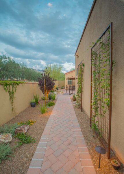 32 Inexpensive Desert Landscaping Ideas For a Perfect Drought-Tolerant ...