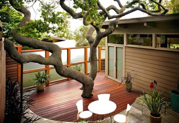 29 Best Landscaping Around Trees Ideas and Designs