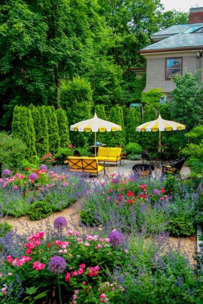 10 Best Arborvitae Landscaping Ideas For An Evergreen Backyard Thuy San Plus