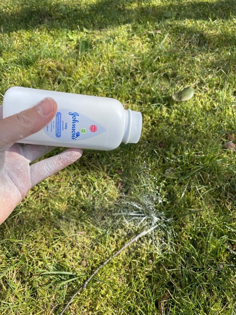 Garden Hacks: 12 Ways to Use Baby Powder Effectively