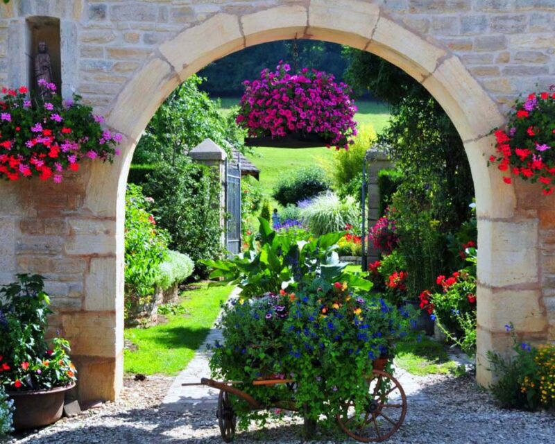 34 Gorgeous Geranium Landscaping Ideas That Will Make Your Garden Bloom ...