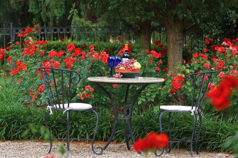 34 Gorgeous Geranium Landscaping Ideas That Will Make Your Garden Bloom ...