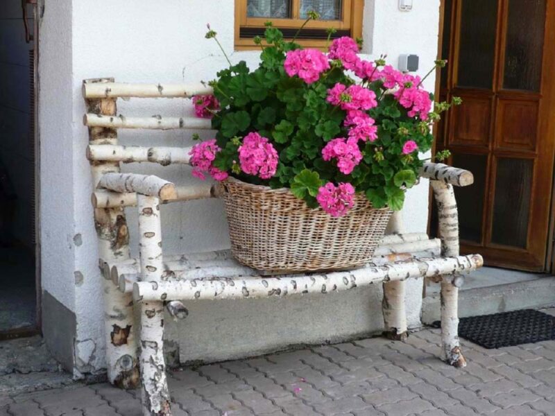 34 Gorgeous Geranium Landscaping Ideas That Will Make Your Garden Bloom ...