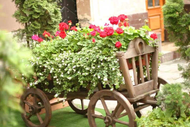 34 Gorgeous Geranium Landscaping Ideas That Will Make Your Garden Bloom ...