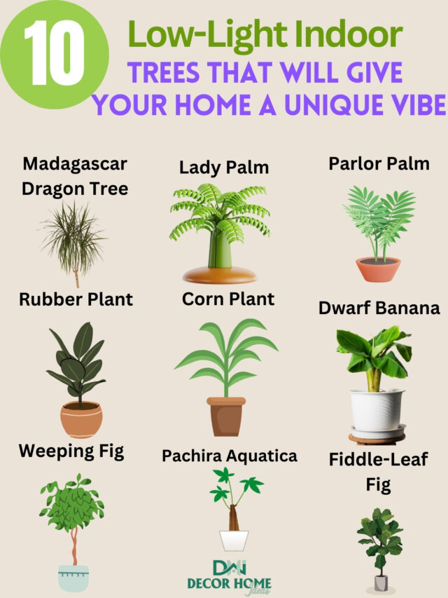 10 Low-Light Indoor Trees That Will Give Your Home a Unique Vibe