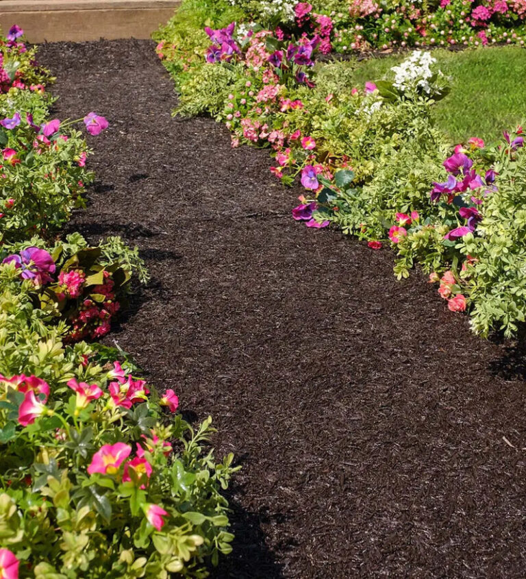 27 Garden Path Ideas Embracing Natural and Recycled Materials