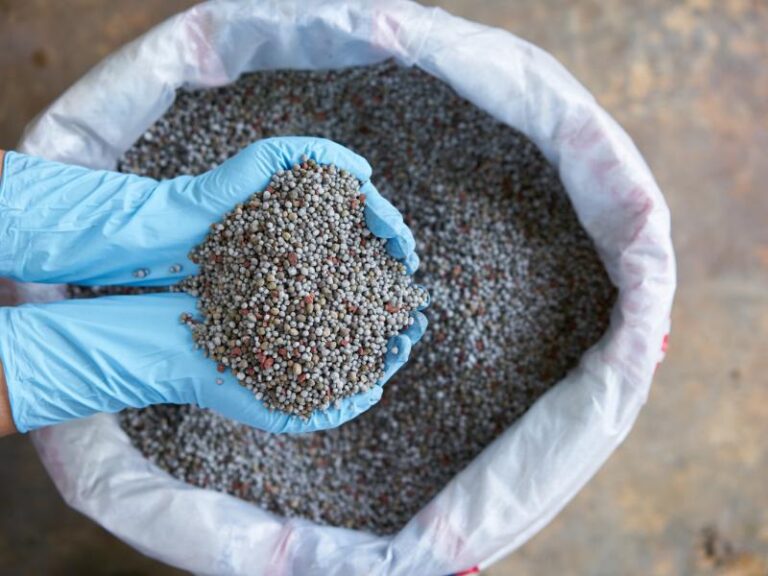 All You Need To Know About 17 17 17 Fertilizer