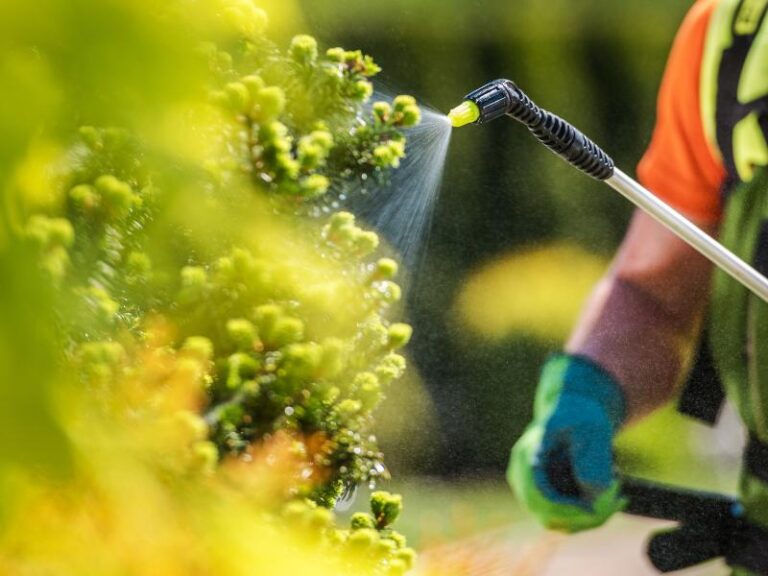 All You Need To Know About 17 17 17 Fertilizer