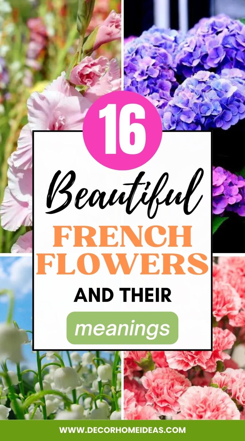 16 Adorable French Flowers And Their Meanings