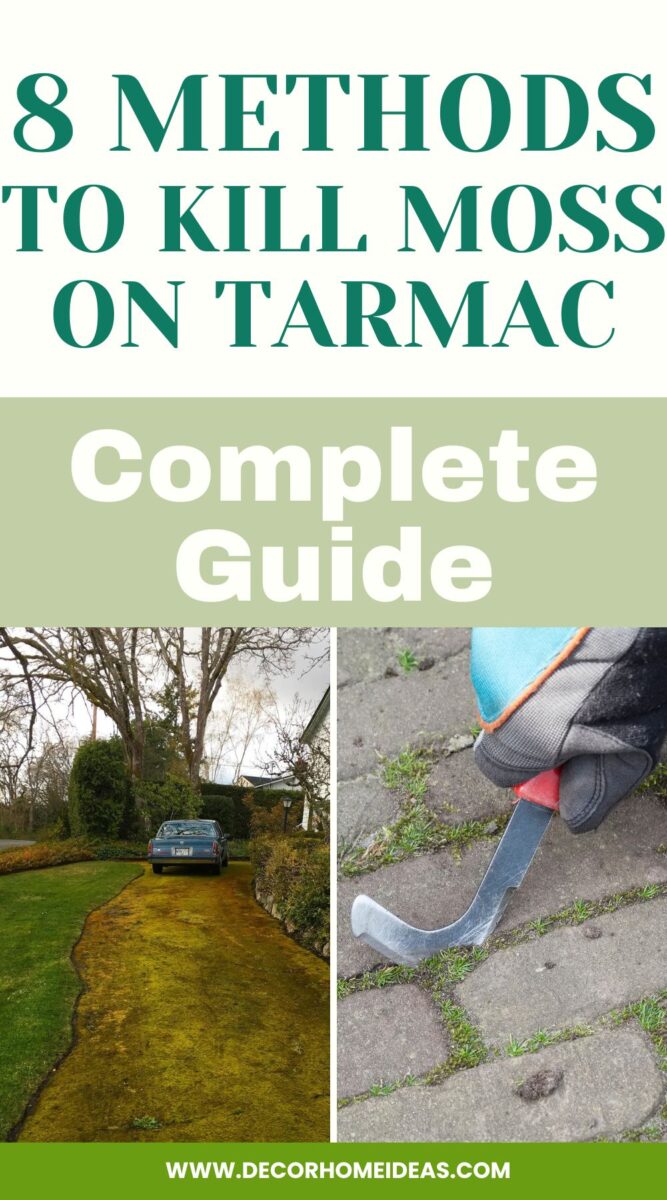 8 Methods To Kill Moss On Tarmac: A Comprehensive Guide