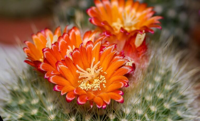 Get Ready to Smile: Discover Ingenious and Whimsical Names for Your ...