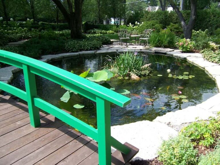 28 Backyard Pond Ideas: Transform Your Space into a Water Oasis