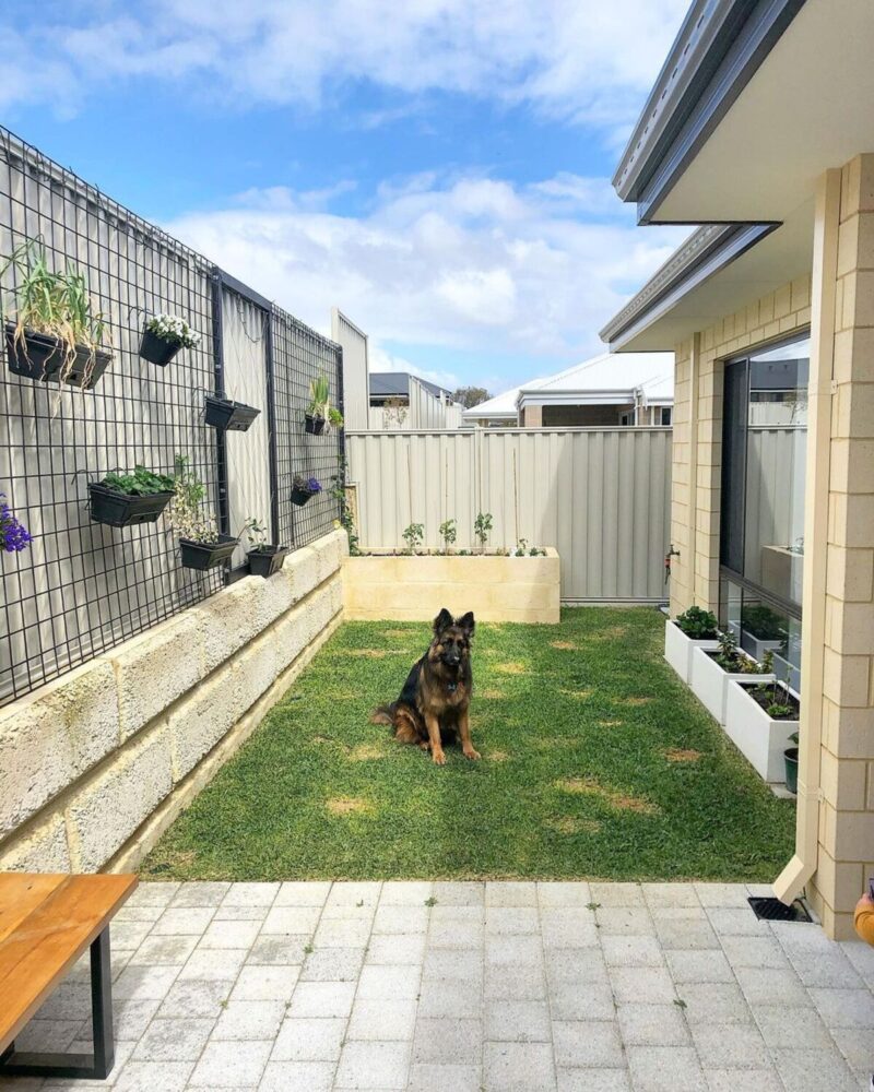 18 Mini Backyard Marvels: Transform Your Space with Chic and Creative Ideas