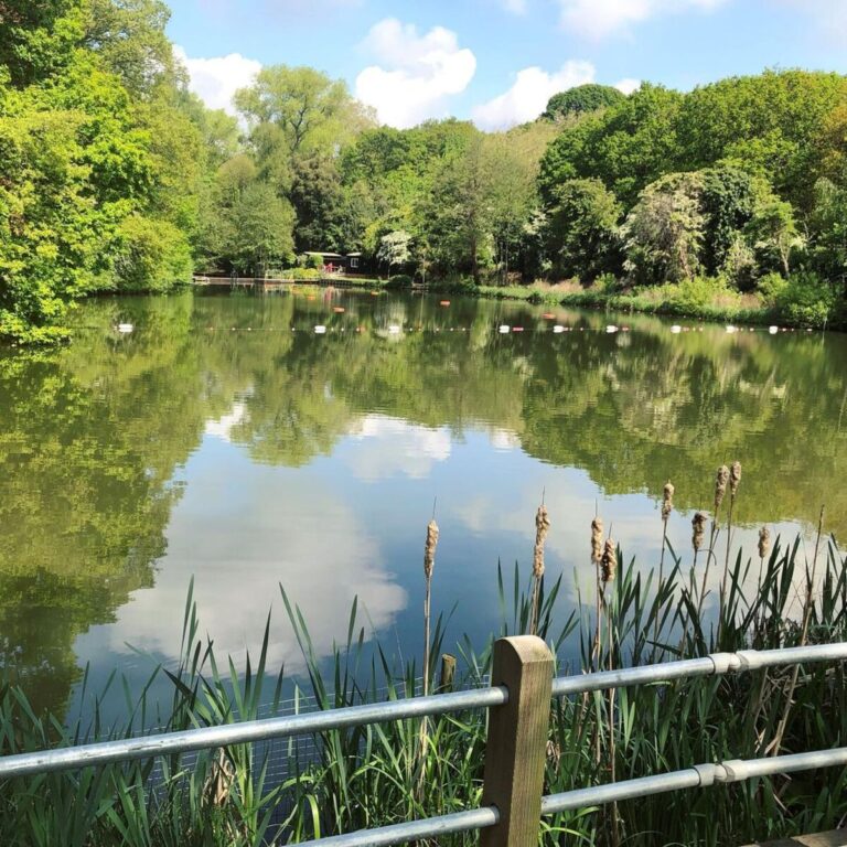 24 Enchanting Natural Swimming Ponds for Your Relaxation Retreat