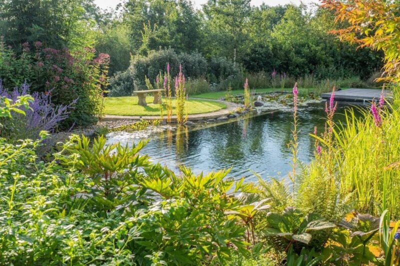 24 Enchanting Natural Swimming Ponds for Your Relaxation Retreat