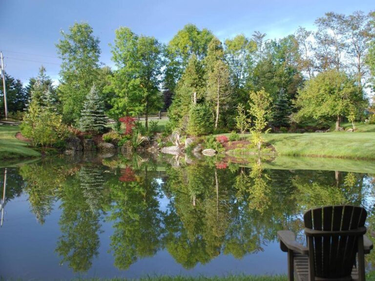 24 Enchanting Natural Swimming Ponds for Your Relaxation Retreat
