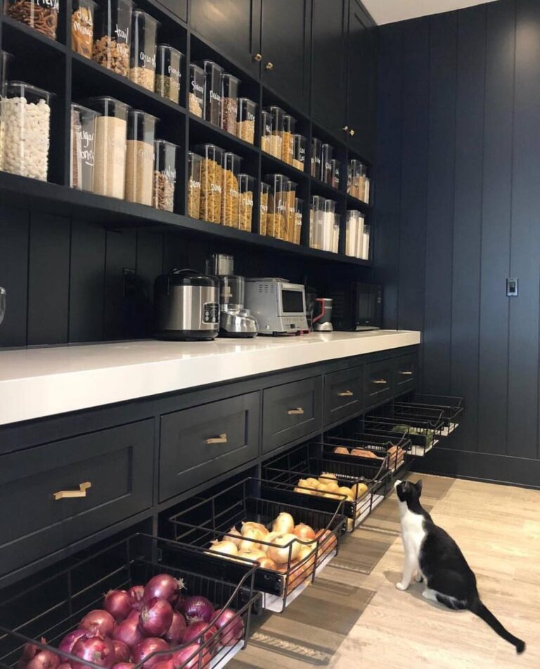 23 Smart Kitchen Pantry Ideas for Ultimate Storage Efficiency