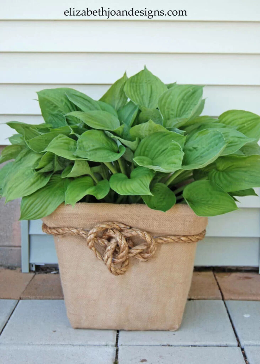 24 Budget-Friendly Garden Ideas Straight From the Dollar Tree