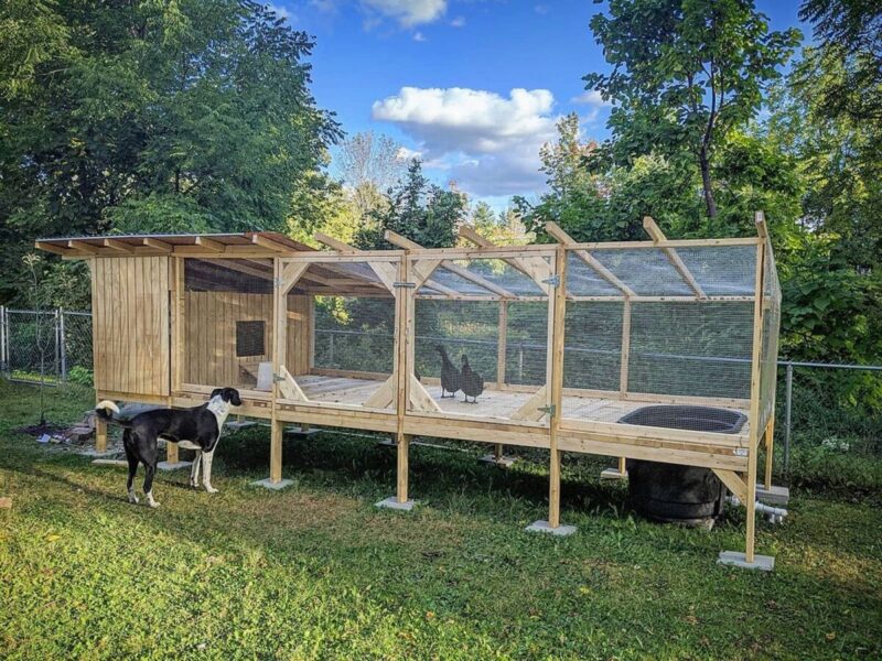 20 Creative Duck House Ideas for a Stunning Backyard