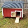 20 Creative Duck House Ideas for a Stunning Backyard