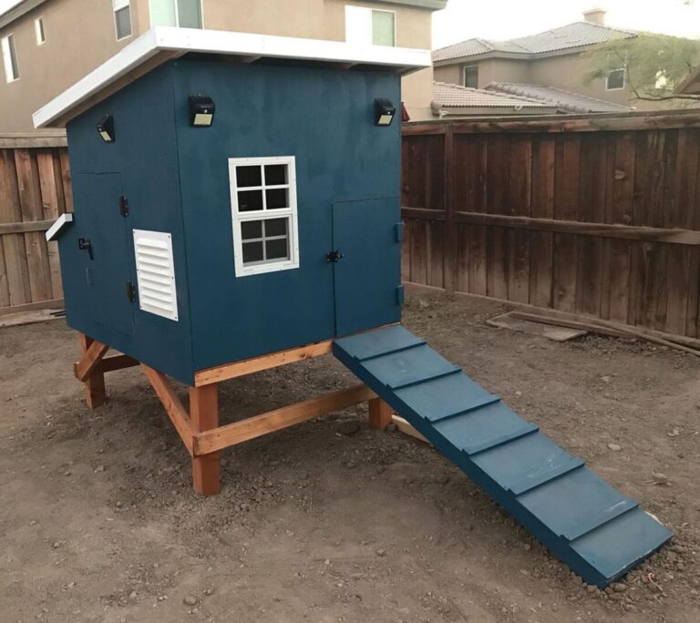 20 Creative Duck House Ideas for a Stunning Backyard