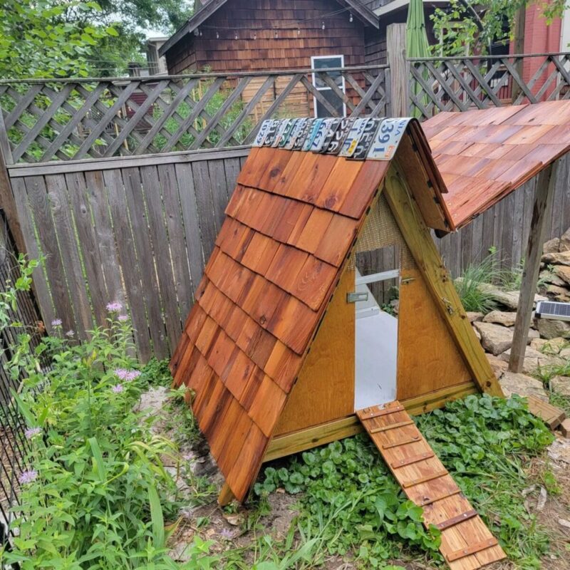 20 Creative Duck House Ideas for a Stunning Backyard