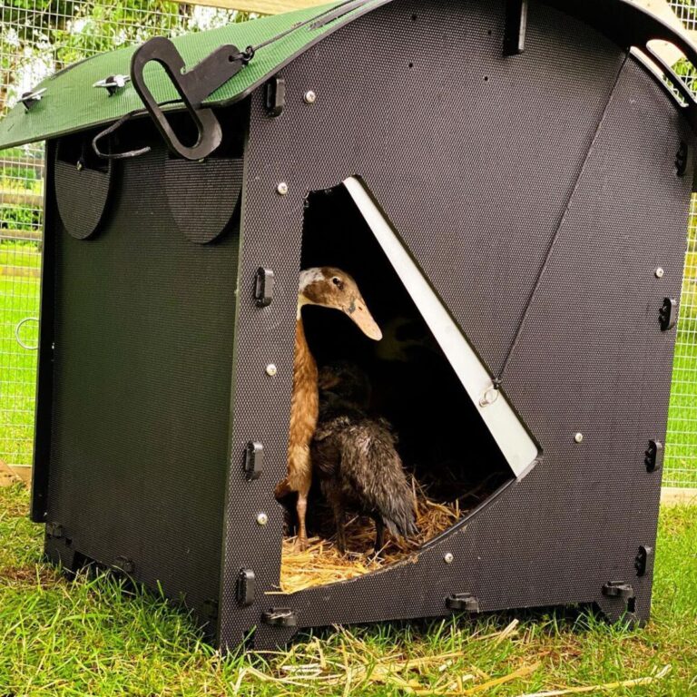 20 Creative Duck House Ideas for a Stunning Backyard