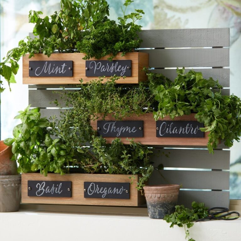 29 Ingenious DIY Dollar Tree Storage Solutions To Organize Your Home