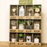 29 Ingenious DIY Dollar Tree Storage Solutions To Organize Your Home