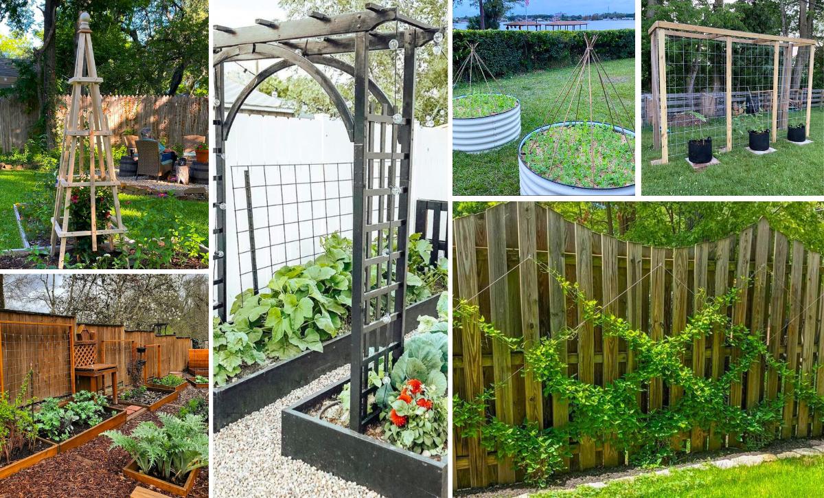 18 Ingenious DIY Trellis Ideas To Beautify Your Garden