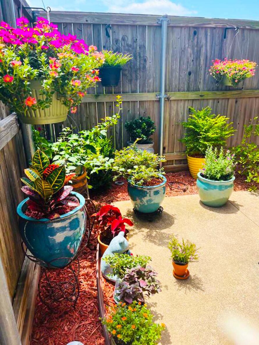 23 Brilliant Small Garden Designs to Elevate Your Oasis