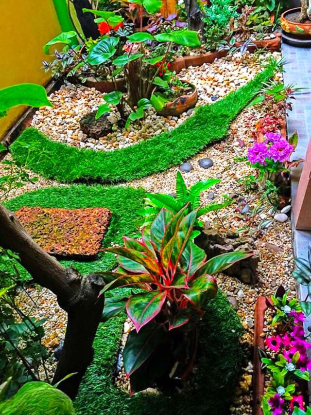 25 Simple and Stylish Garden Transformations to Enhance Curb Appeal