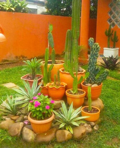 25 Simple and Stylish Garden Transformations to Enhance Curb Appeal
