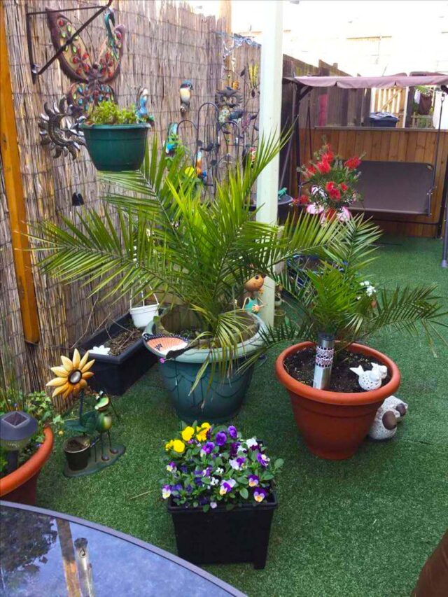 25 Simple and Stylish Garden Transformations to Enhance Curb Appeal