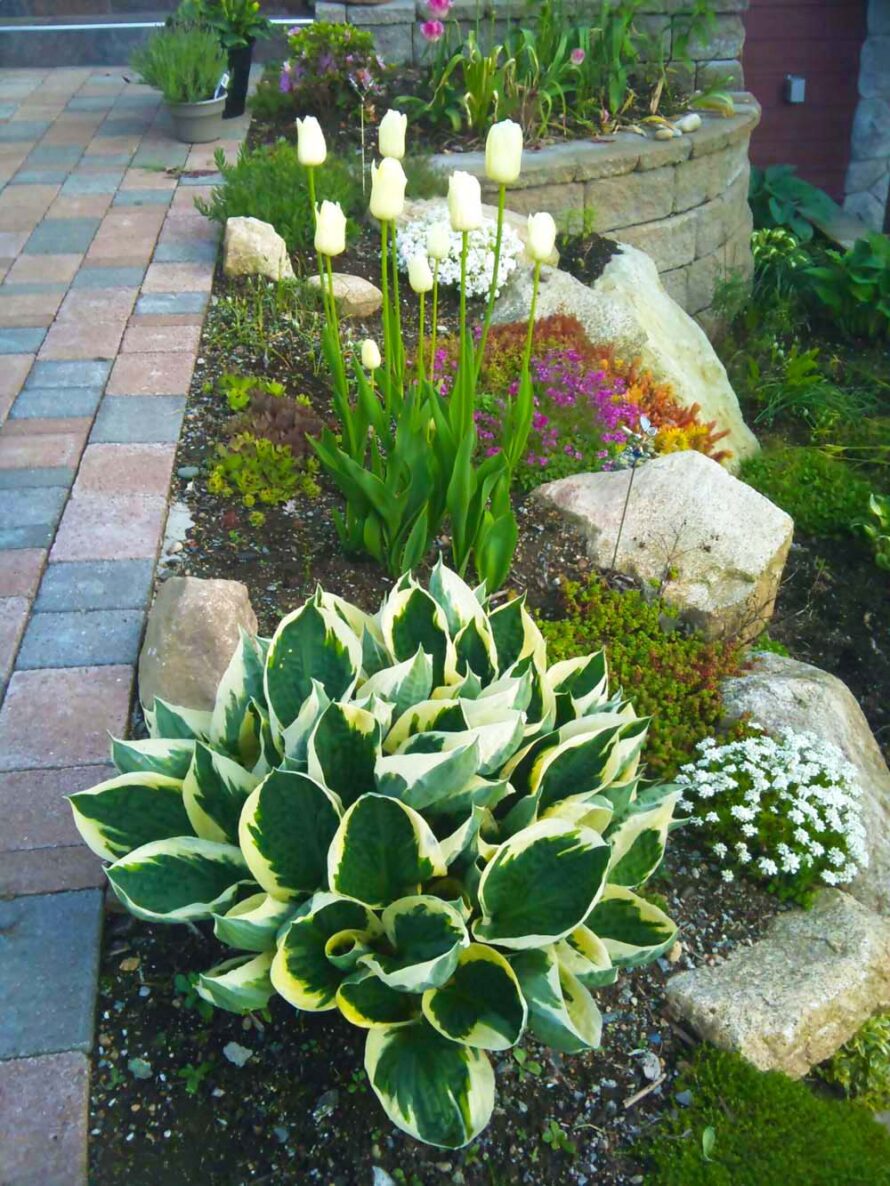26 Enchanting Garden Layouts for Mystical Backyard Escapes