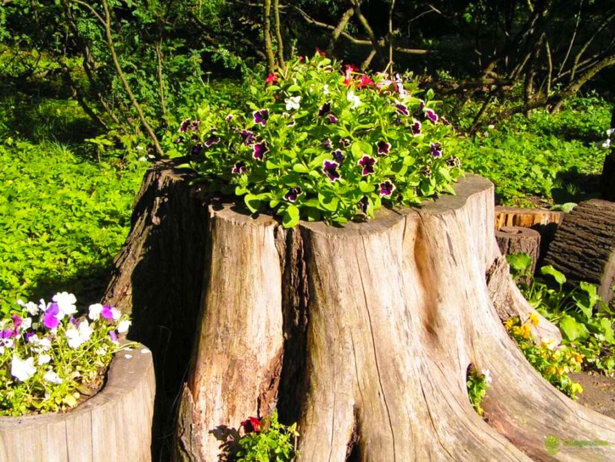 31 Simple Garden Transformations for Perfect Outdoor Space