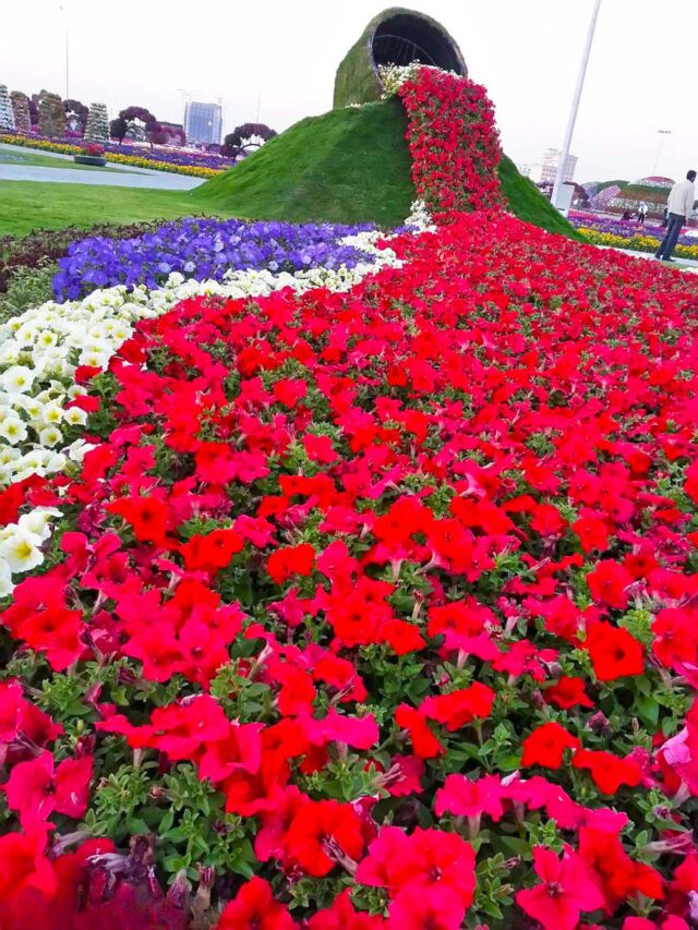 28 Spectacular Garden Themes to Ignite Your Creativity