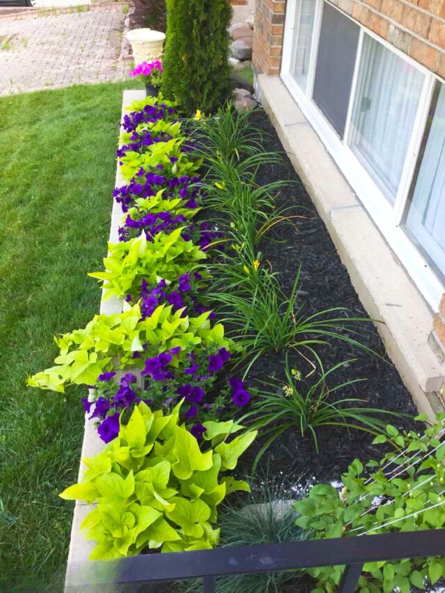 27 Stunning Garden Concepts Perfect for Any Area