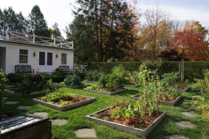 16 Fall Vegetables Garden Ideas for a Bountiful Autumn Harvest