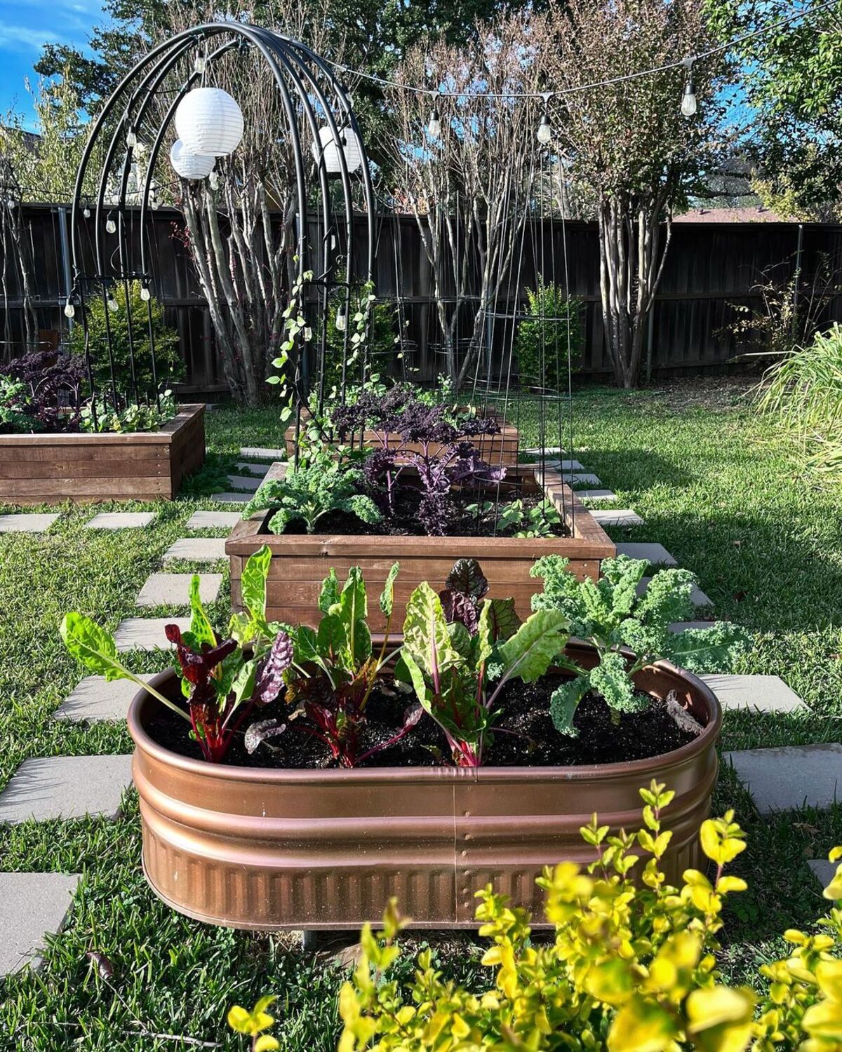 16 Fall Vegetables Garden Ideas for a Bountiful Autumn Harvest