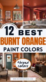 Eye-Catching Burnt Orange Paint Colors That Make Any Space Stand Out