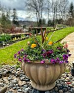 28 Gorgeous Outdoor Flower Pot Ideas to Spruce up Your Space