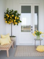 24 Lemon-Themed Spring Front Porch Decor Ideas for a Fresh Look